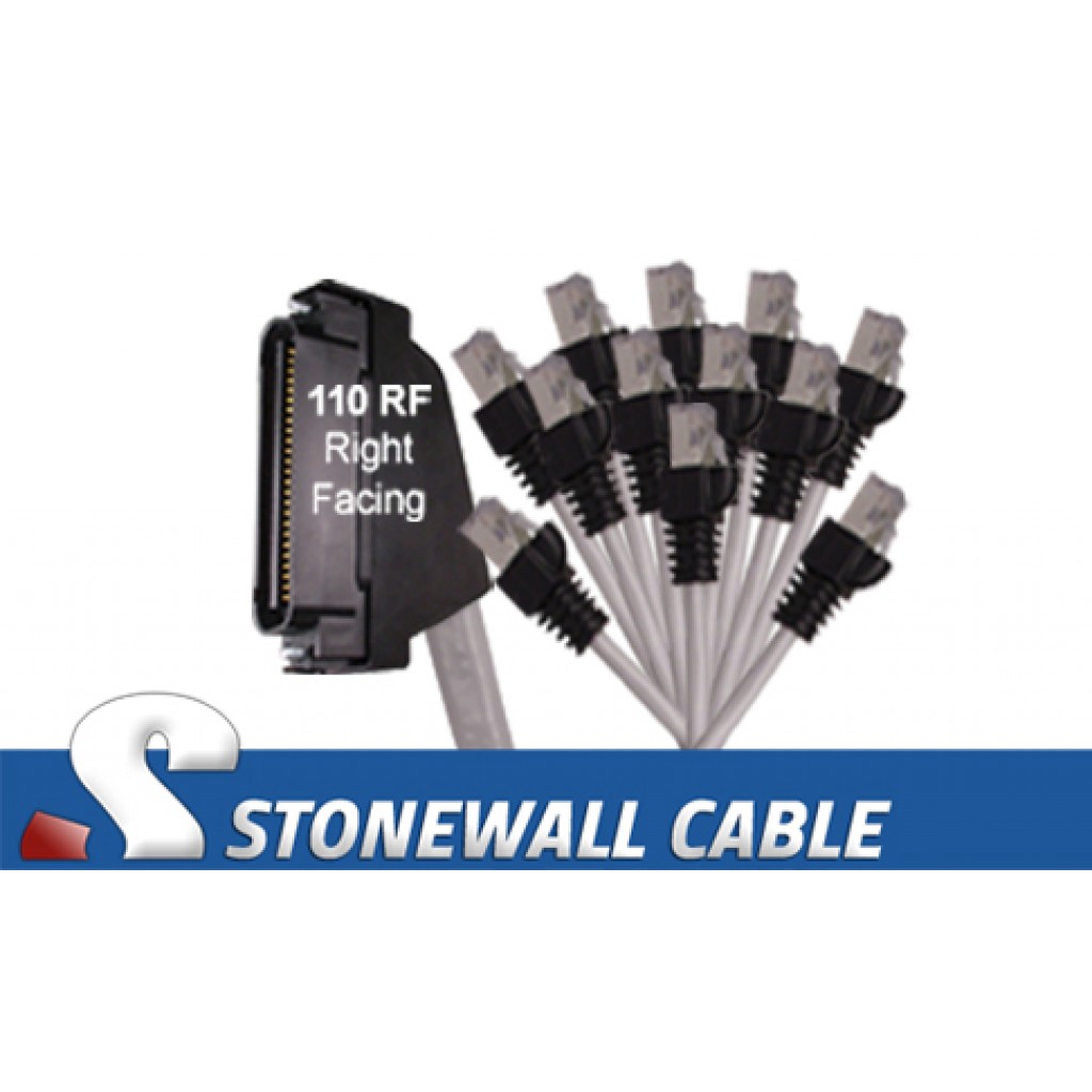 RJ21 Hydra Cable - Category 5e Telco 50 Male / 12 x RJ45 - Stonewall Cable