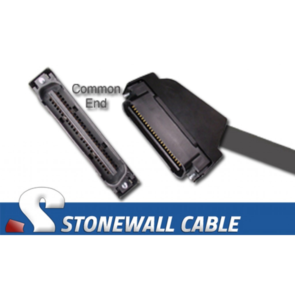 RJ21 Cat5 "Y" Cable Champ50M 110RF Exit - Stonewall Cable